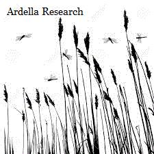 Ardella Research — Who we are and what we do | ardellaresearch